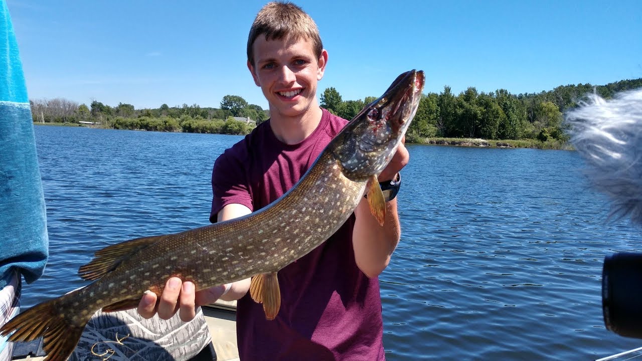 Is Midday Fishing Pointless? (Pike Fishing) - YouTube