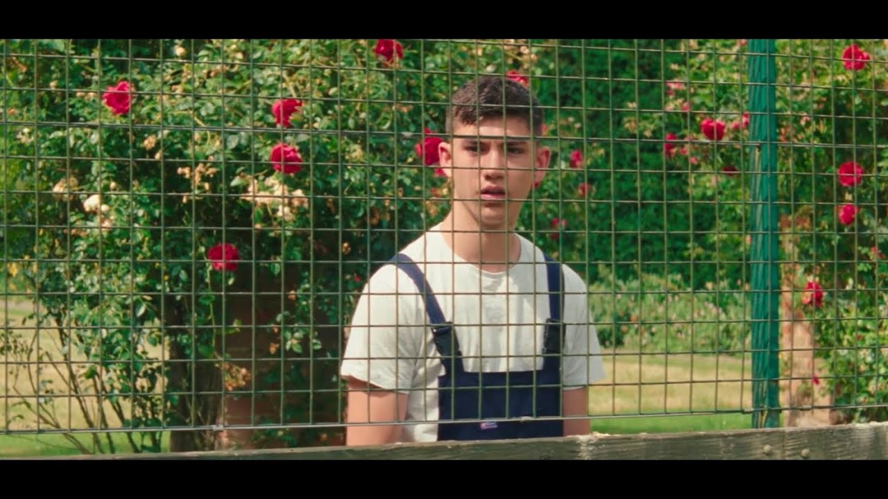 Feline (2018) full movie|Archie Renaux, Tom Forbes, Katy Reece - YouTube
