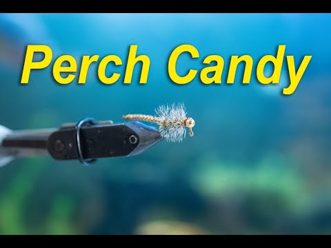 The Perch Candy Fly - Best Fly For Catching Perch? - YouTube