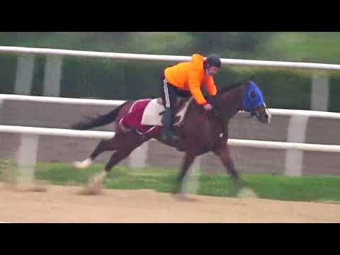 YAMANTAY AKIN ÖZDENİZ İLE 14 11 2020 CUMARTESİ