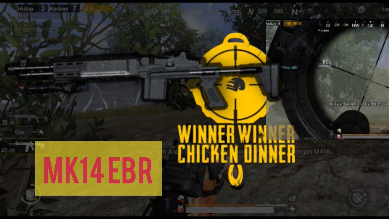 THE KING OF MK14 EBR | PUBG MOBILE - YouTube