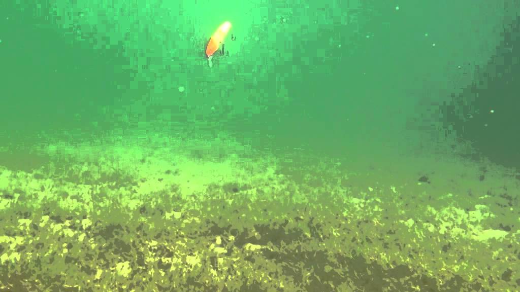 STRIKE PRO_FLYING FISH JOINT - YouTube