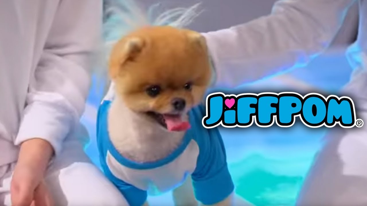 Jiffpom on Disney's Bizaardvark (Commercial) - YouTube