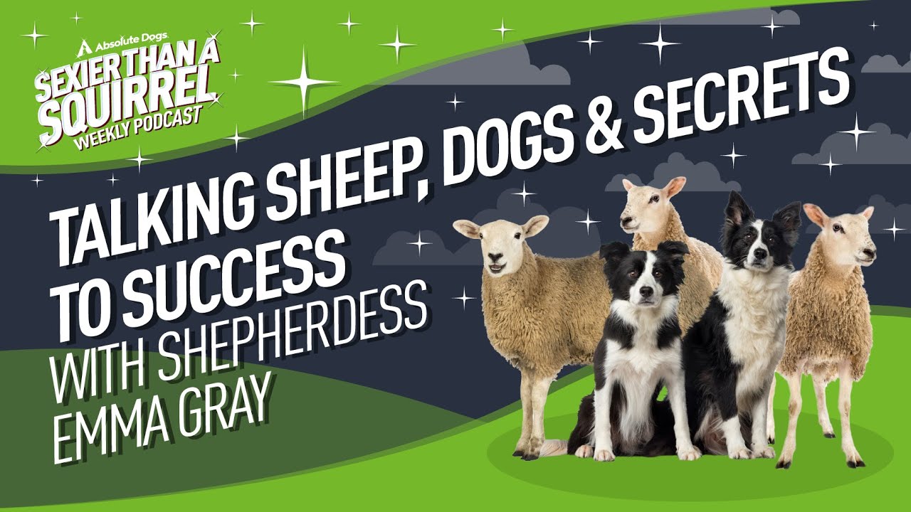 Training Sheepdogs & Success Tips: Emma Gray Shepherdess Talks ...