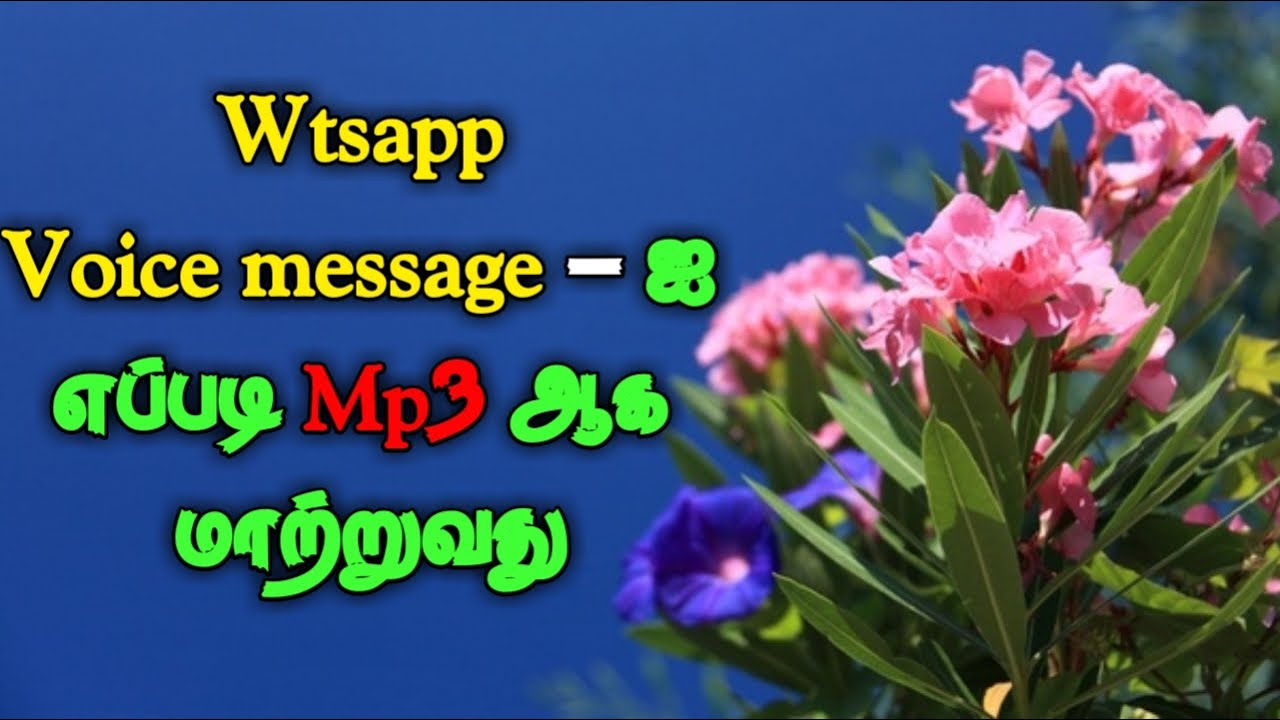How To Change Whatsapp Voice Note To Mp3 In Tamil YouTube how-to-change-whatsapp-voice-note-to-mp3-in-tamil-youtube