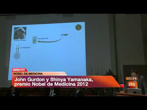 Premio Nobel de Medicina 2012