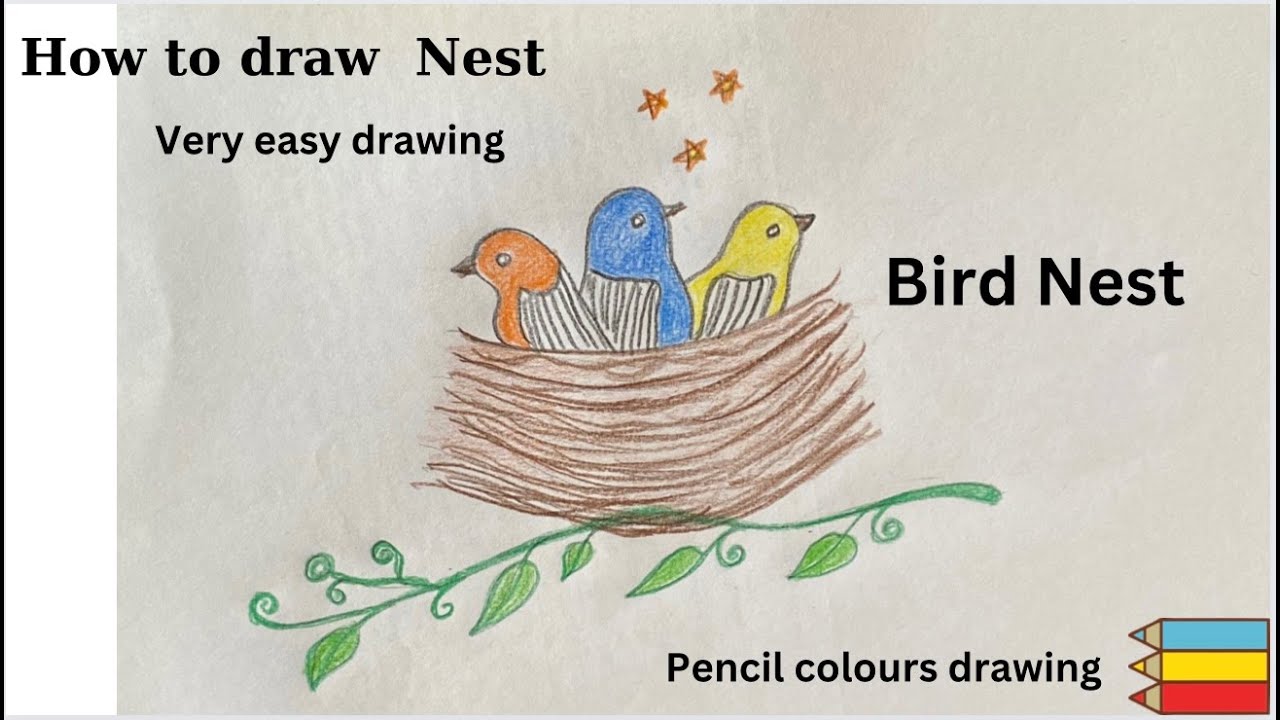 How to draw 🪺Bird Nest drawing drawing tutorial easy drawing #birdnest ...
