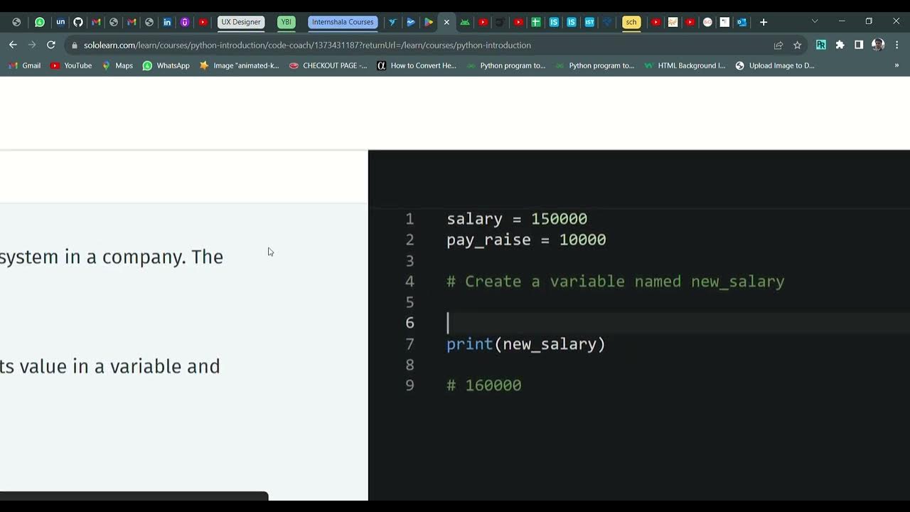 19 It S Payday Introduction To Python Sololearn Youtube