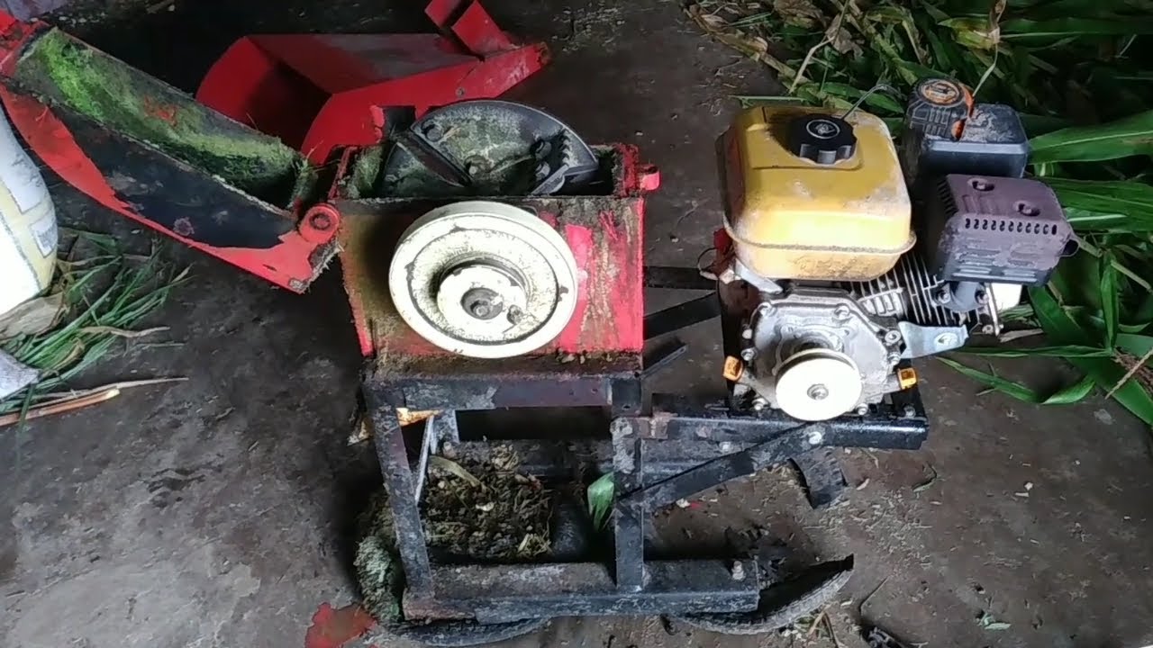 forrageira Nogueira DPM Junior motor estacionario a gasolina 7hp bufalo ...