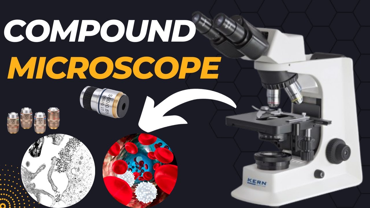 Compound Microscope Parts and Functions - YouTube