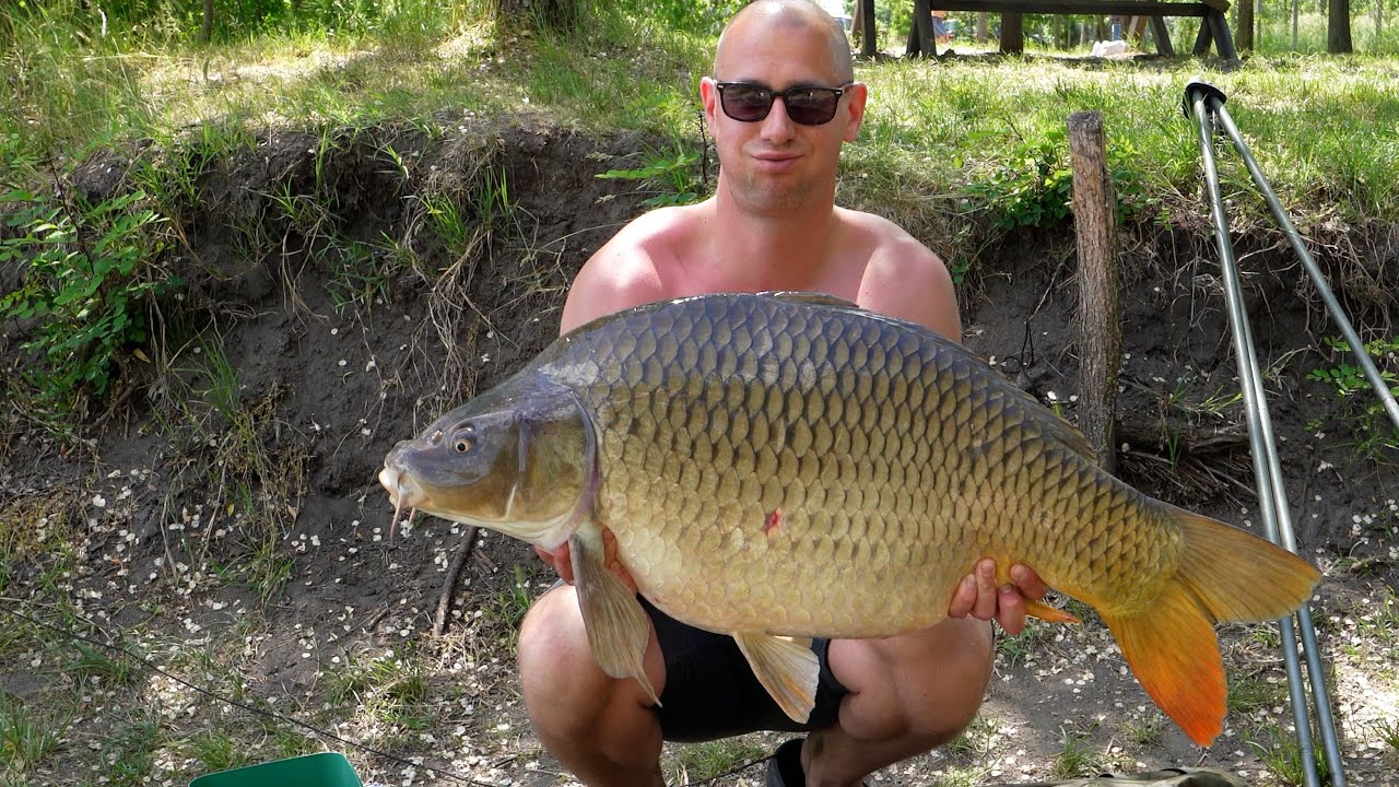 Saranski Ribolov u Maju - Drugi Deo - YouTube