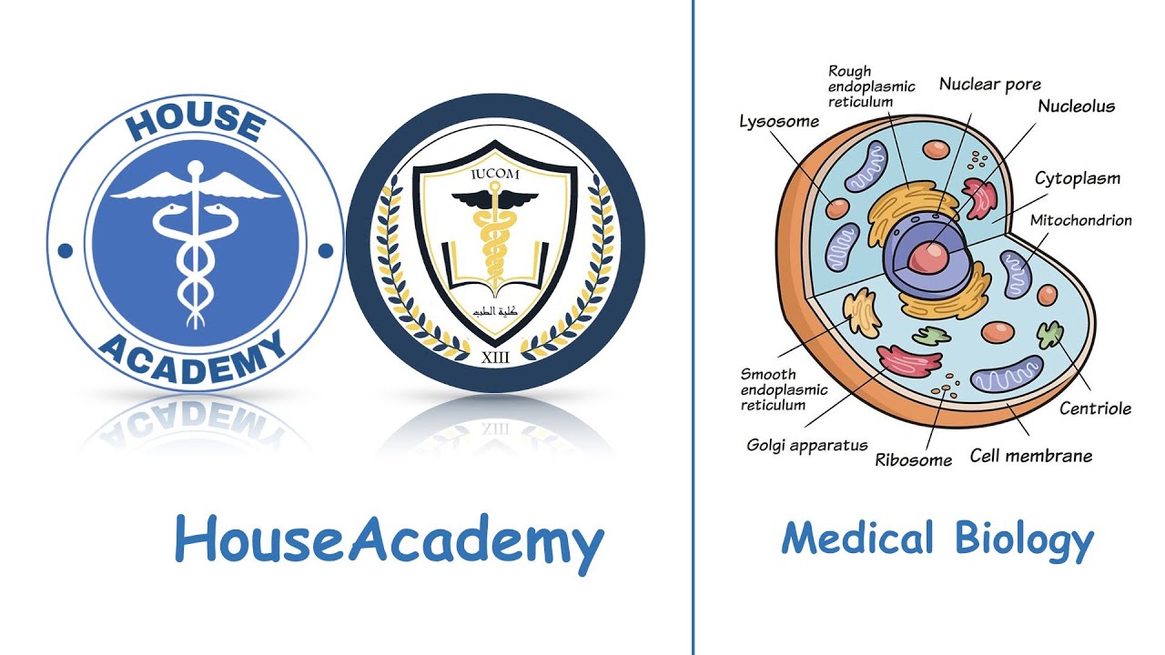 Medical biology lec.3 || cell structure (part3) - YouTube