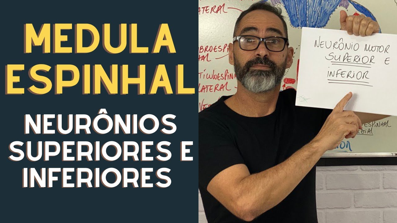 CONCEITO DE NEURÔNIOS MOTORES SUPERIORES E INFERIORES - YouTube
