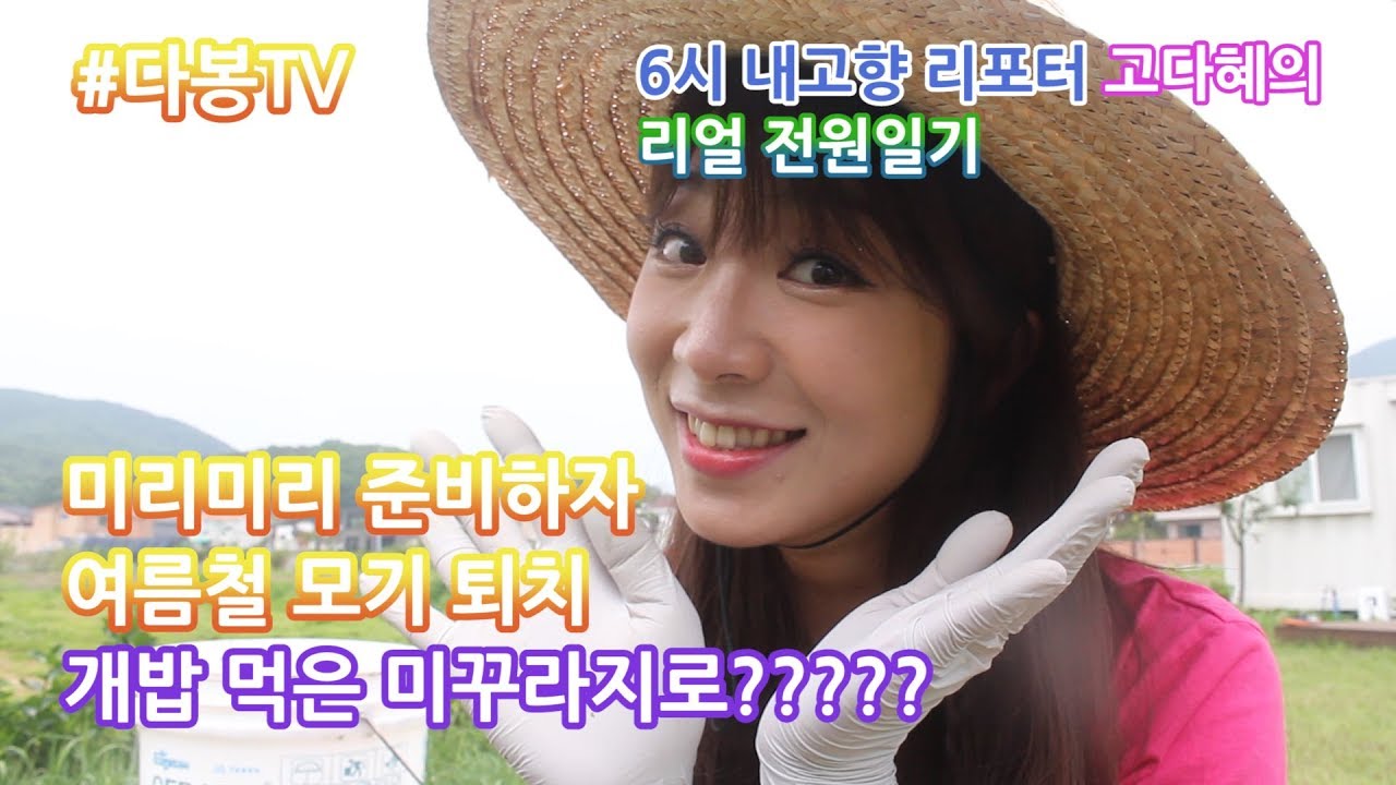 개밥 먹은 미꾸라지로 모기 퇴치 Youtube