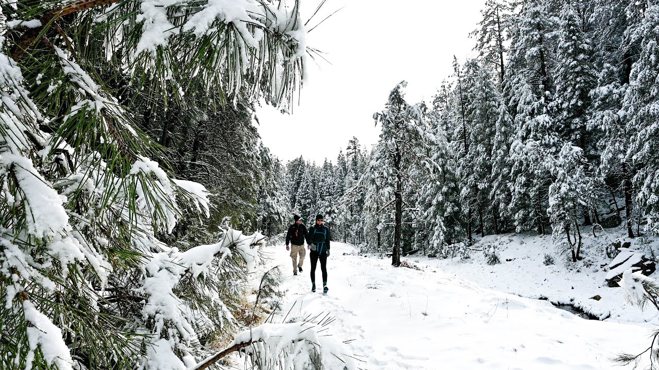 A PEACEFUL HIKE THROUGH A FRESH SNOWFALL | WINTER IN PAYSON, ARIZONA ...