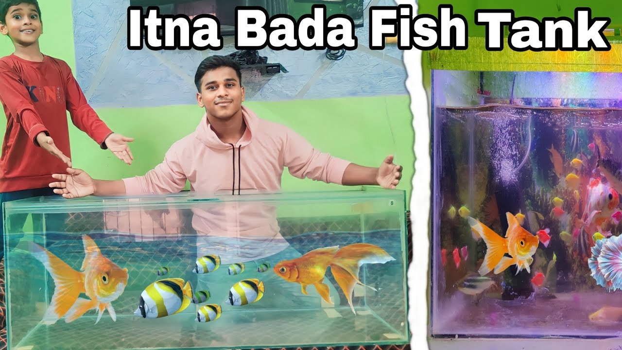 Itna Bada Fish Tank🐠😍 || Life Sohail Vlogs - YouTube