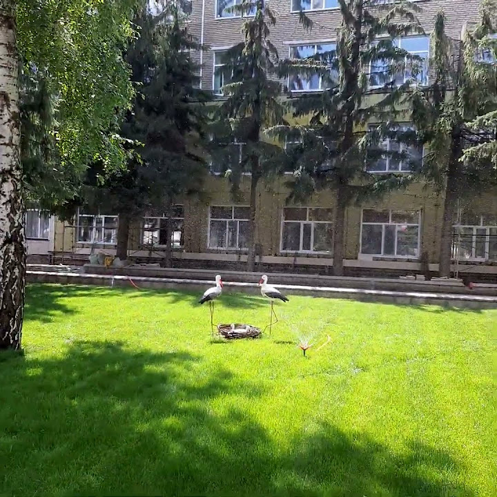 Реалистичные аисты. Садовые фигуры. Аисты в гнезде. Stork. Ләйлек ...