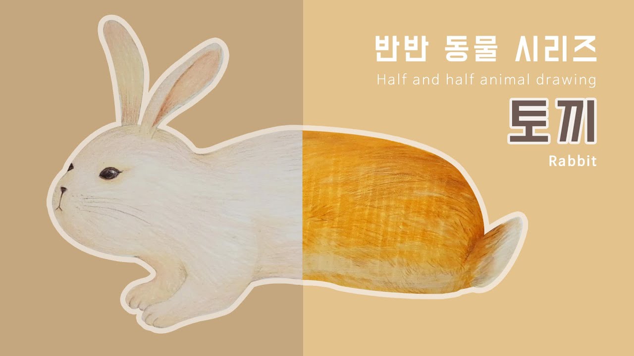 색연필로 그려보는 복슬복슬한 토끼 (반반스케치북 동물 시리즈 #8 토끼 Half and half animal drawing #8 ...