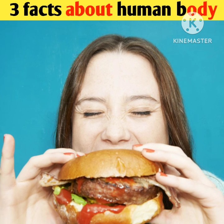 Amazing facts about human body | human body facts facts about human ...