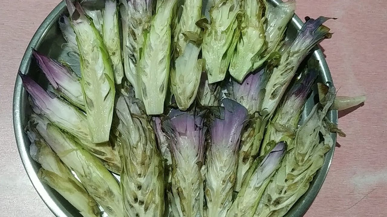 Yaipan Or East Indian Arrowroot fry - YouTube