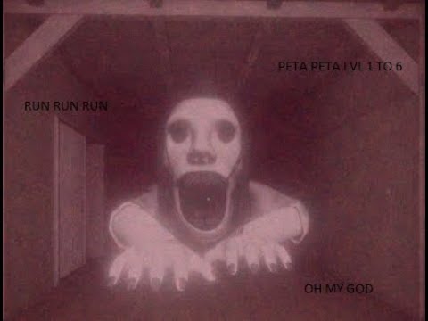 PETA PETA LEVEL 01 TO 06 ROBLOX - YouTube