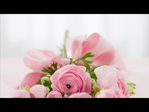 #30 minutes music for relax meditation by beautifull roses🌹🌹🌷🌷🌷