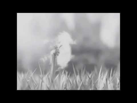 Claustrofobie Wattpad Trailer