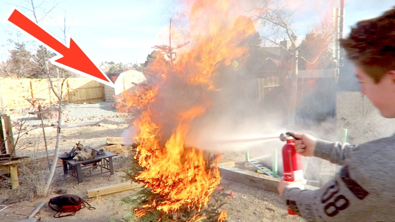 1000 DEGREE FLAMETHROWER VS CHRISTMAS TREE! - YouTube
