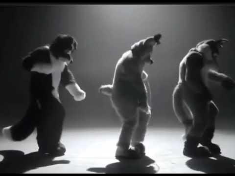 we are not number one - YouTube