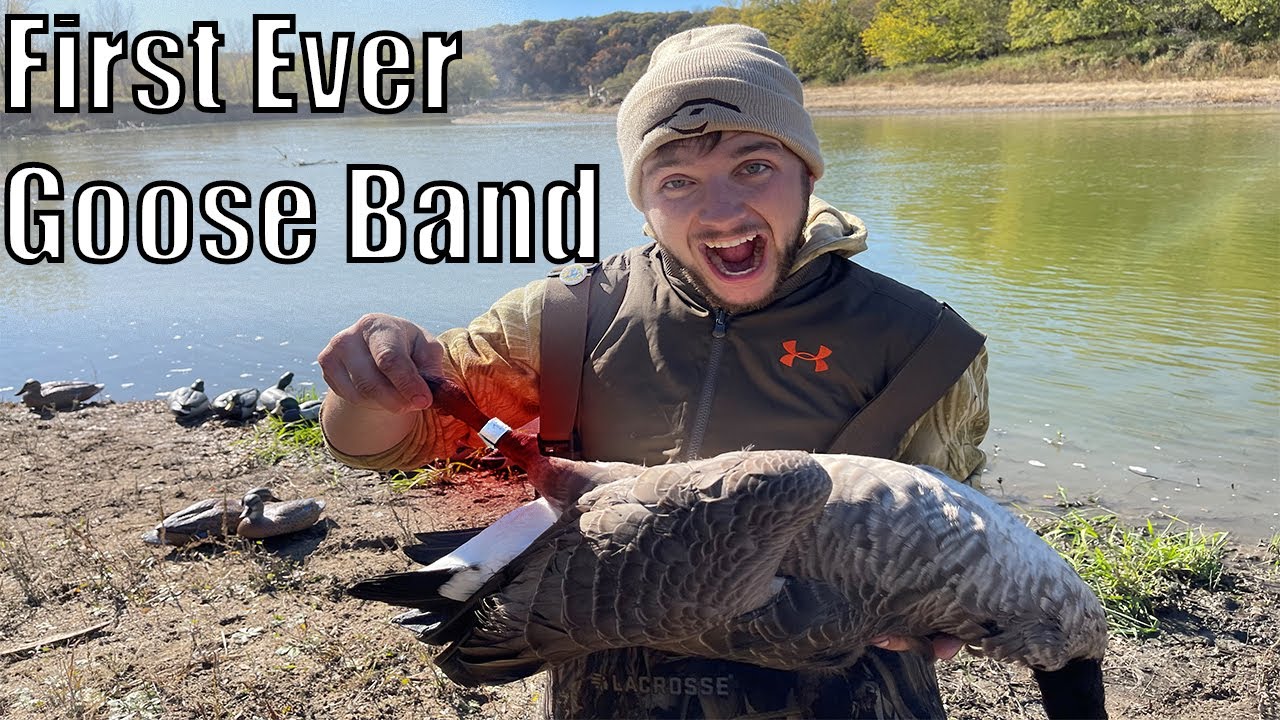 MY FIRST EVER BANDED GOOSE | PUBLIC LAND RIVER HUNT-- CATCH AND COOK ...