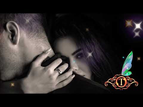 Avet - Moracir