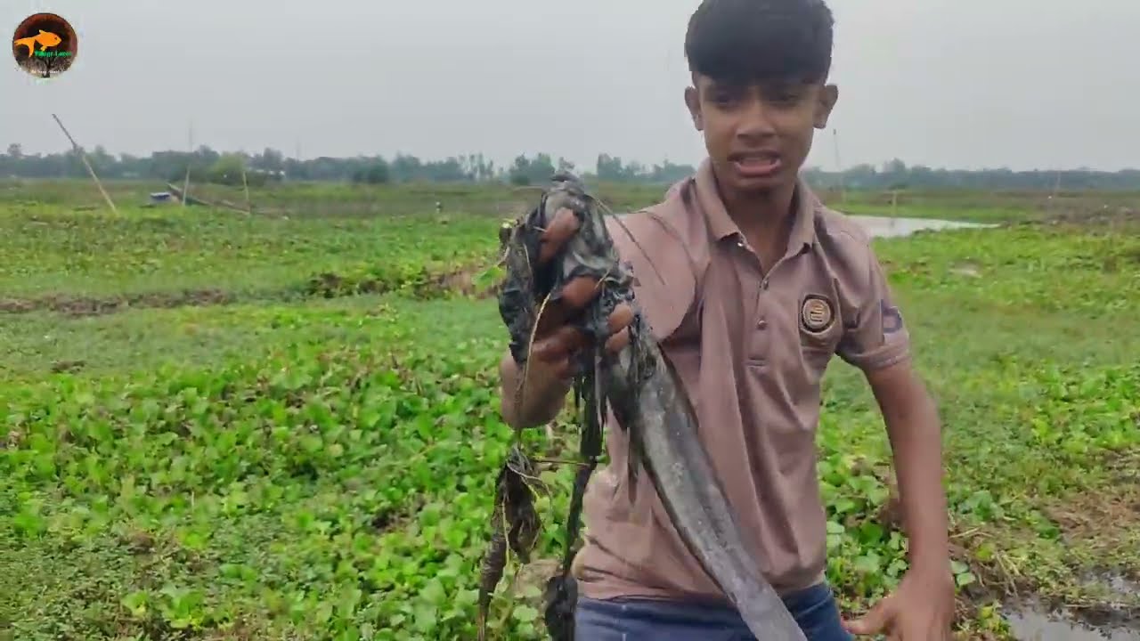 Unique & Hand Fishing Video 2023 | Big Stuck Fish Catching in Village🖤 ...