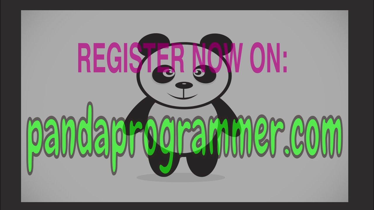 Panda Programmer 2021 Summer Camp - YouTube