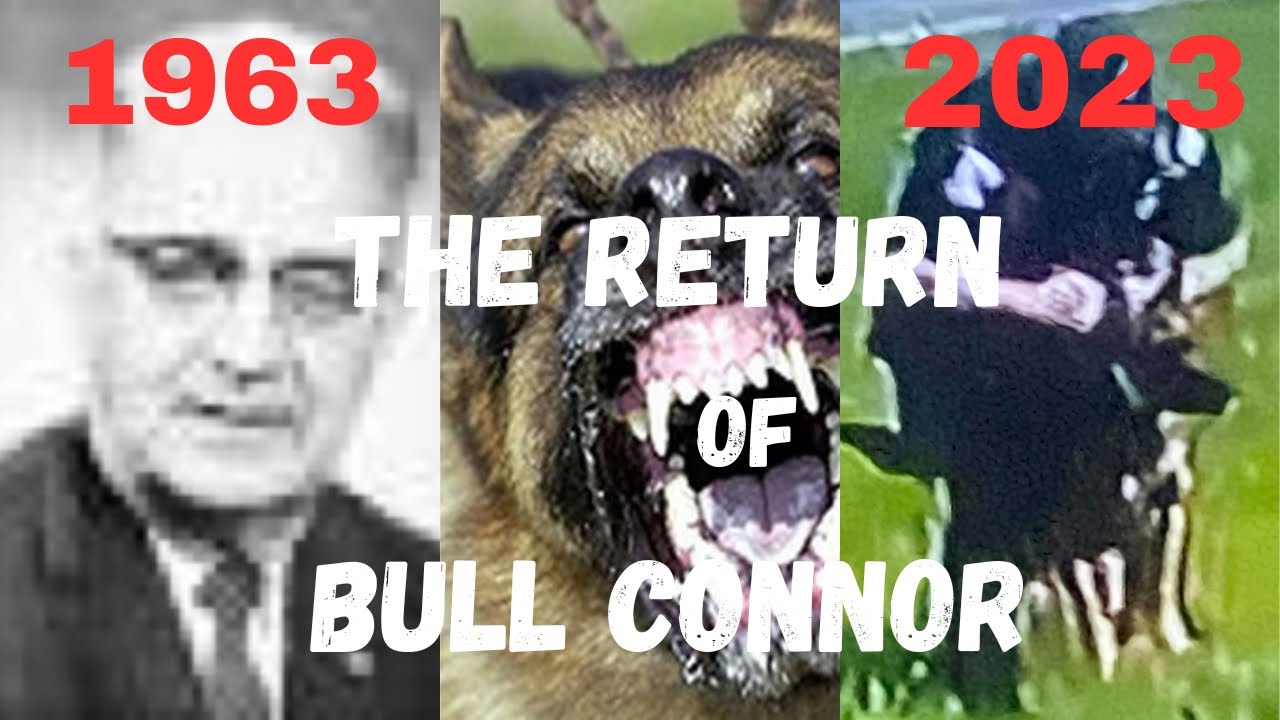 1963 Sheriff Bull Connor unleashed dogs on black citizens,60 years ...