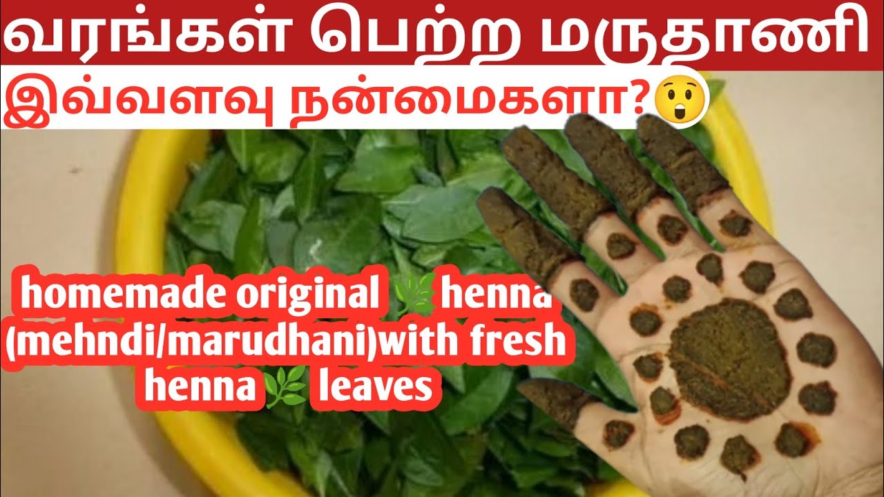 🌿பல வரங்கள் பெற்ற மருதாணி/💯homemade original 🌿henna (mehndi/marudhani ...