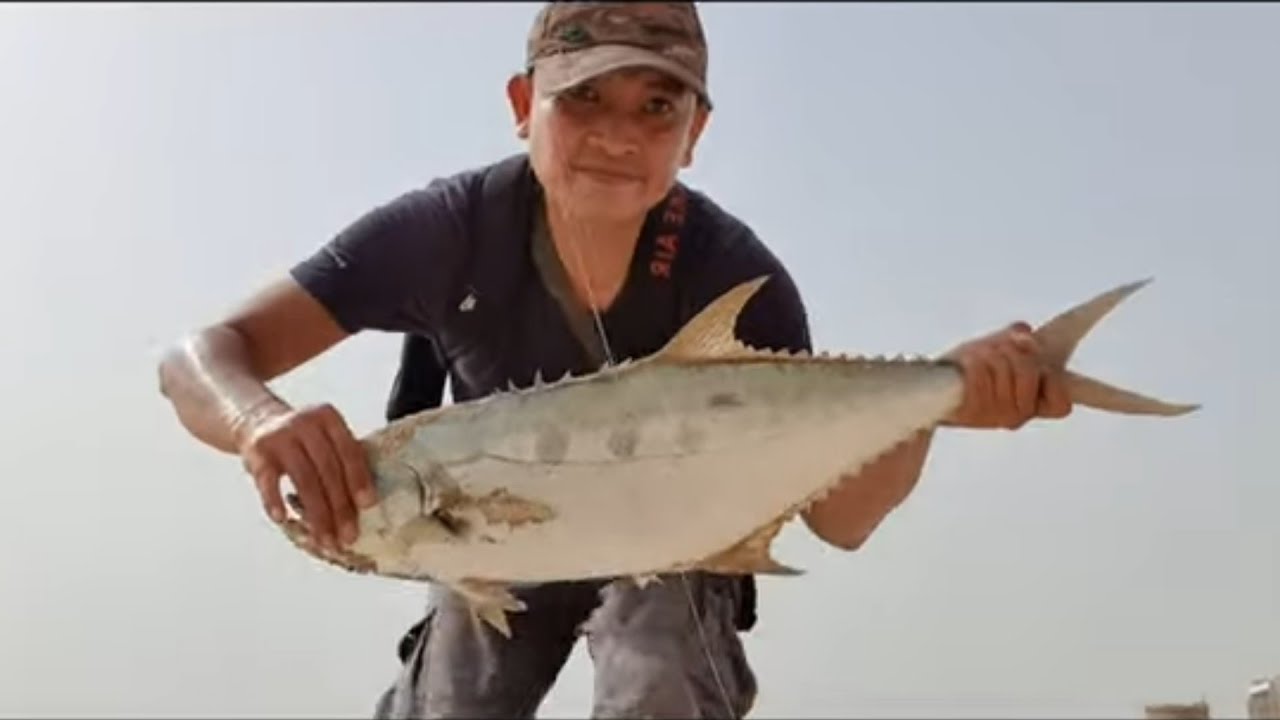 ULTRALIGHT SET UP|| 3 QUEEN FISH👊👊👊 - YouTube