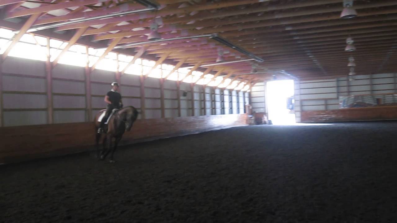Taz clinic with Wanja Gerlach canter left lead - YouTube