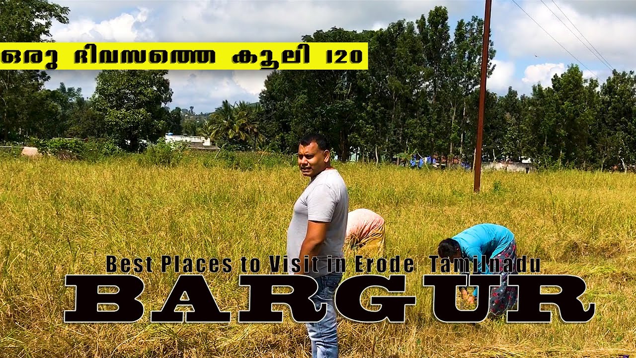 Bargur | Burgur hills Erode | Erode Tourism | Bargur Malayalam vlog ...