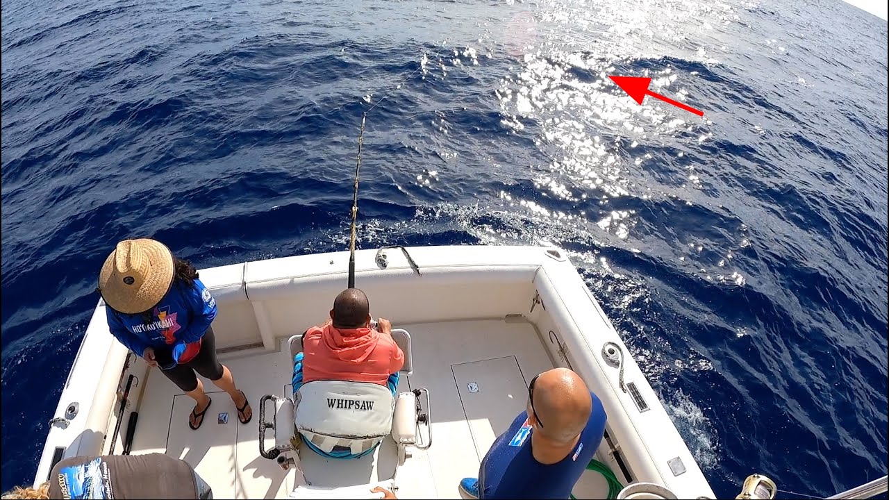 Fishing in Hawaii! | Blue Marlin Catch and Fillet - YouTube