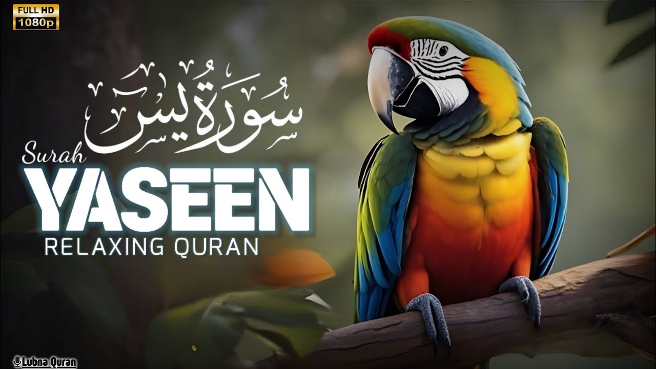Experts Say Surah Yaseen سورة يس Is The BEST For Stress Relief ...