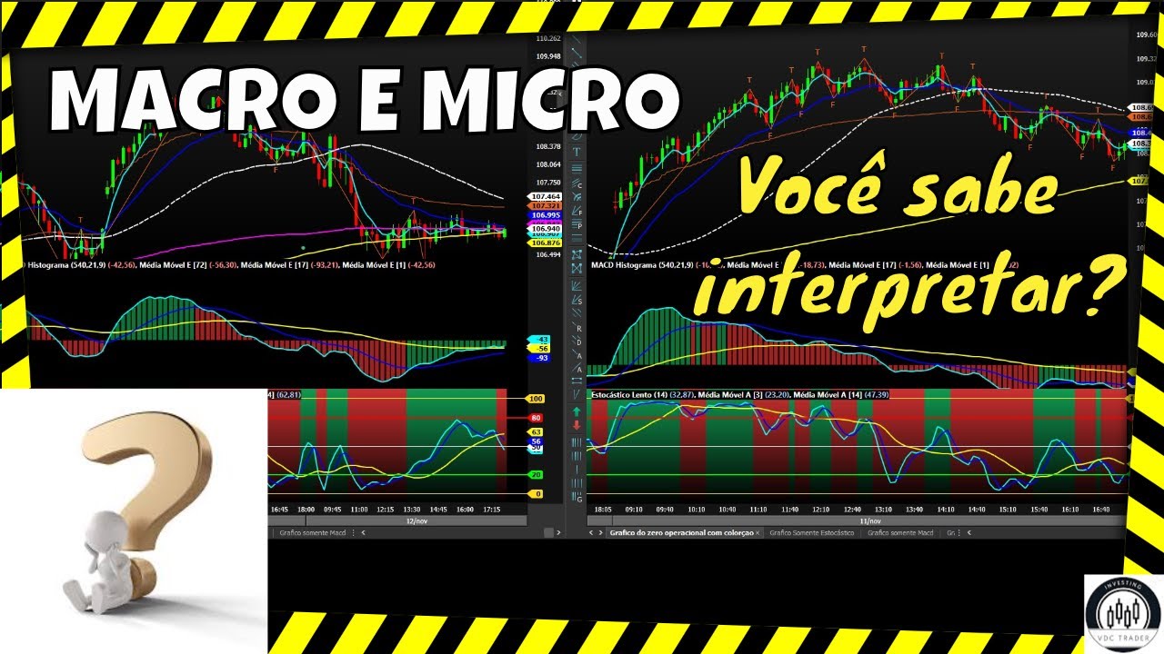 Da MACRO pra MICRO: como interpretar? - YouTube