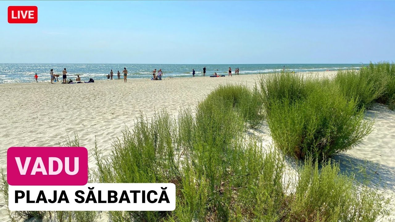 🔴 PLAJA VADU, zona SALBATICA a LITORALULUI ROMANESC - Ce poti face aici ...