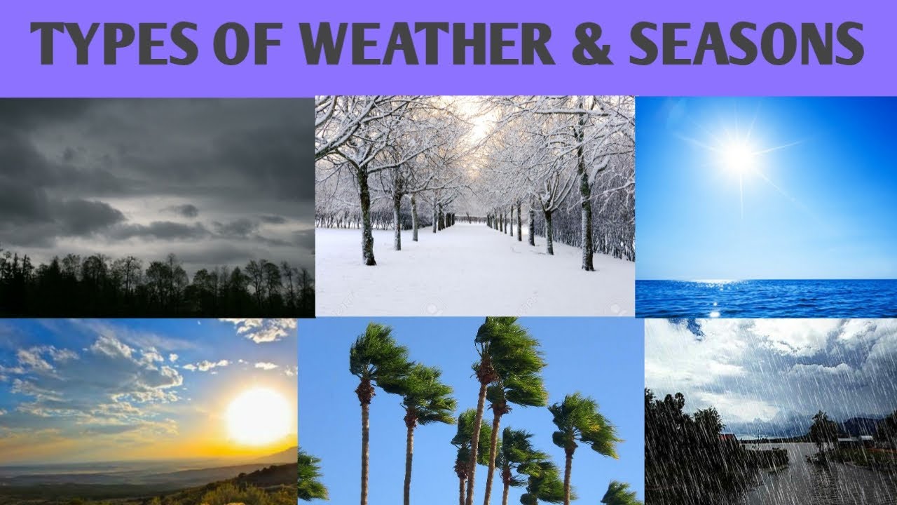 Different Types of Weather & Seasons II Weather & Seasons II - YouTube