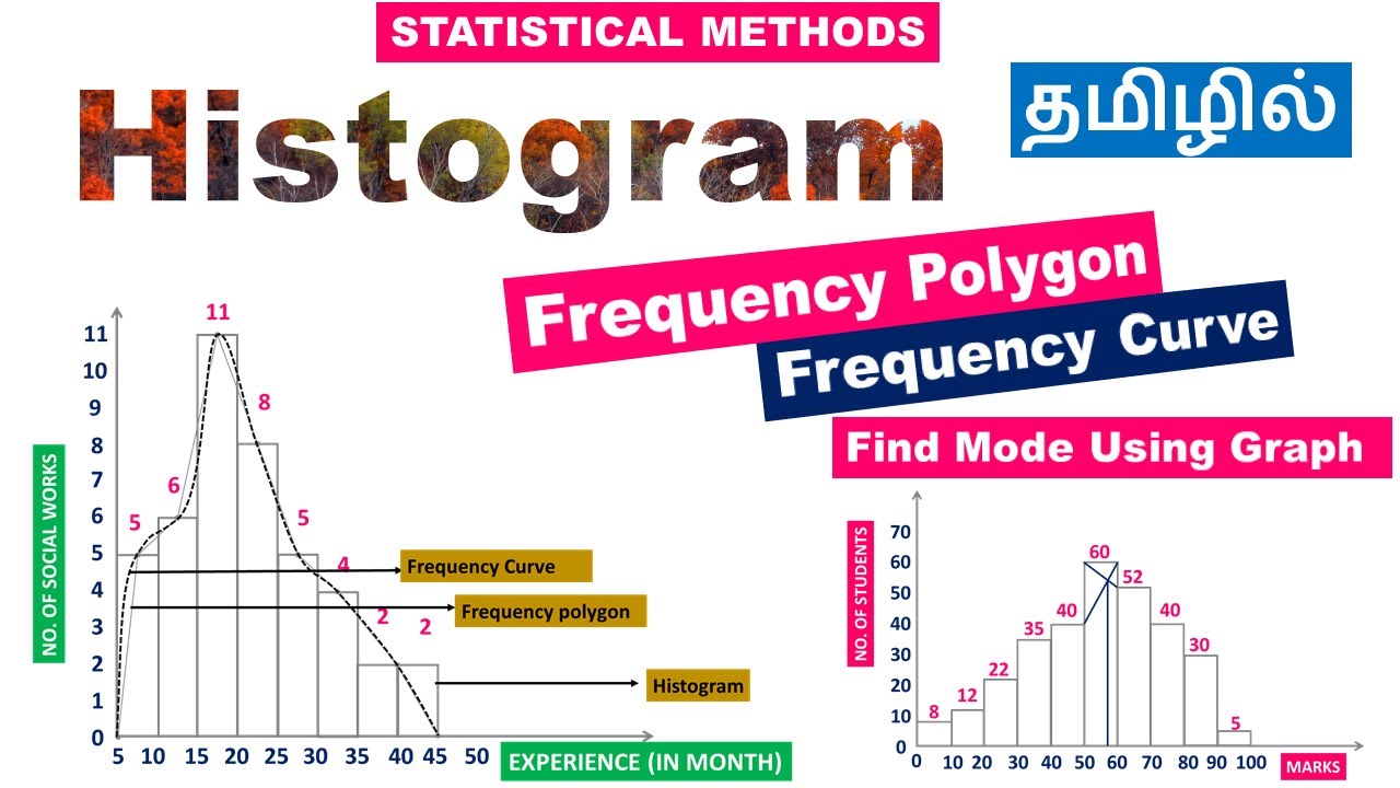 Histogram In Tamil Frequency Polygon And Frequency Curve In Tamil histogram-in-tamil-frequency-polygon-and-frequency-curve-in-tamil