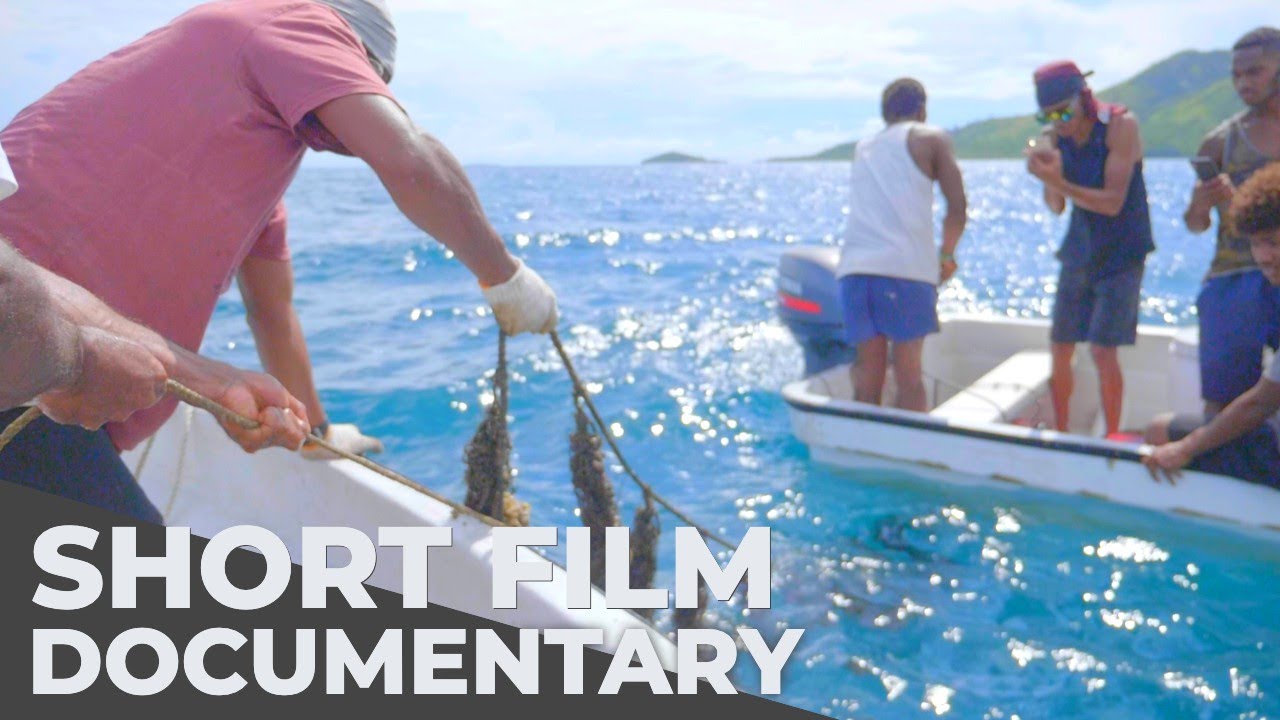 Fiji: Our Forests | Our Ocean | And How To Save Them | Short Film - YouTube