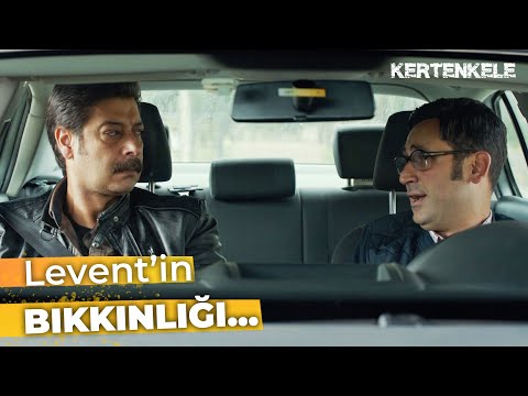 Levent, Ünsal'ın durumundan bıktı| Kertenkele 🦎 40. Bölüm