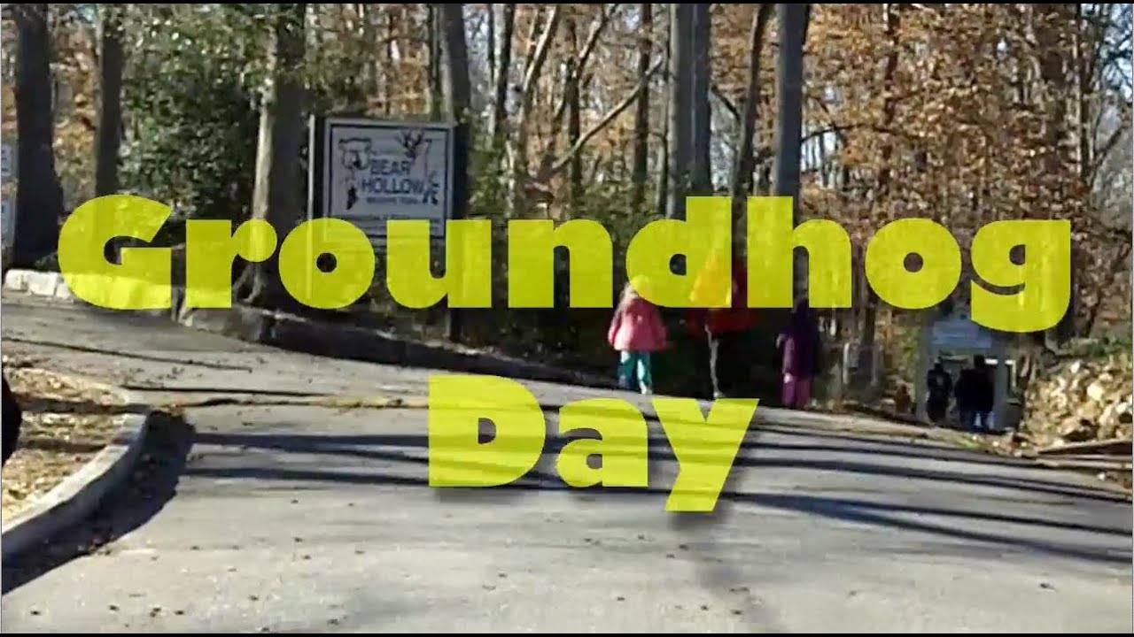 Groundhog Day with Gus at Bear Hollow Zoo in Athens, GA 2013 - YouTube