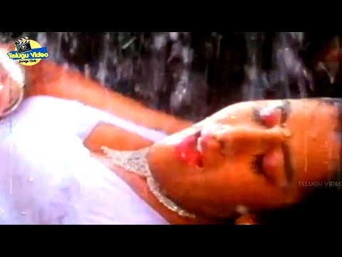 ALLARODU MOVIE AAGADHEE ALLARI VAN RAIN VIDEO SONG | RAJENDRA PRASAD, SURABHI