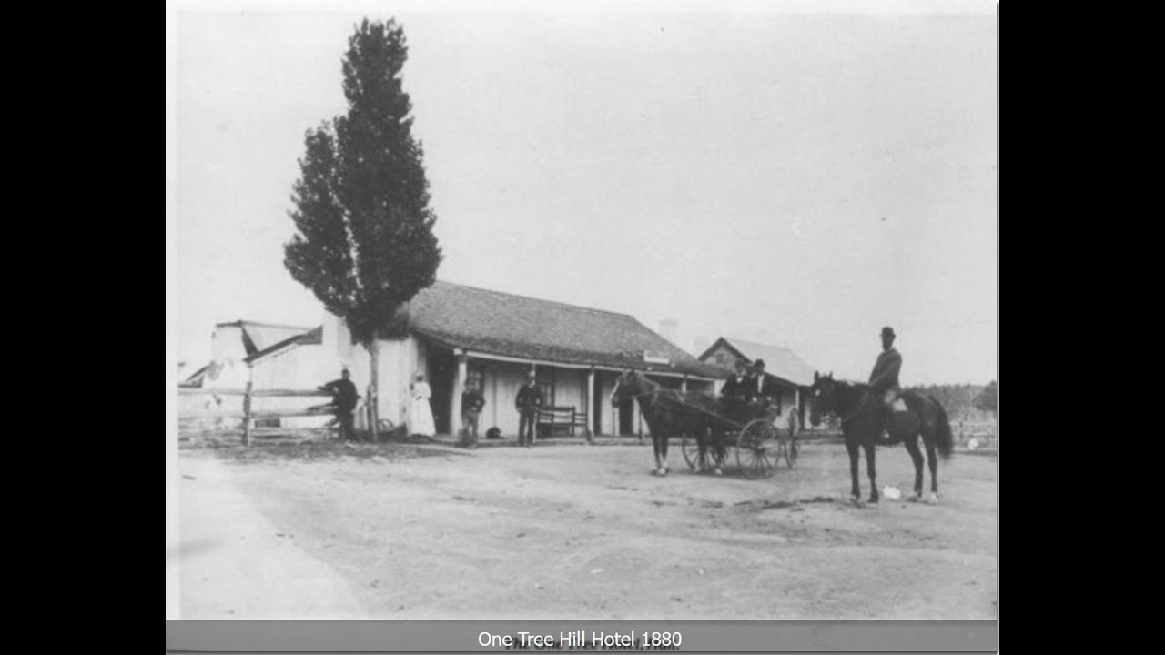 The Humbug Scrub Tiger sighting in 1903 in South Australia - YouTube