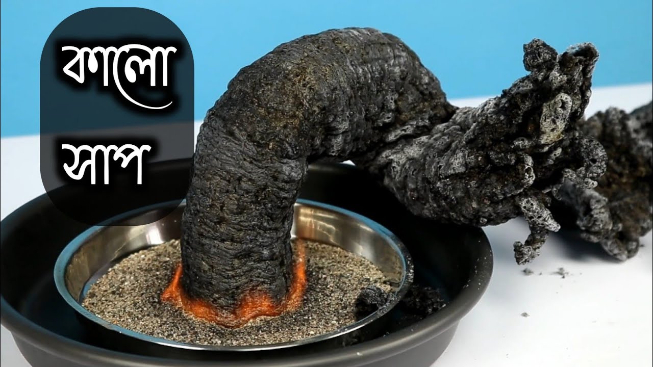 বড়ো কালো সাপ বাড়িতেই বানাও খুব সহজে। Big Black Snake Crackers Making ...